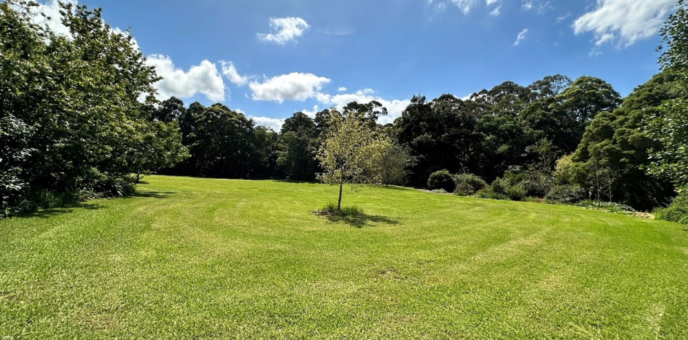 Woodland Garden Meadow | Wollongong Botanic Garden