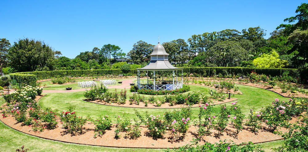 Rose Garden | Wollongong Botanic Garden
