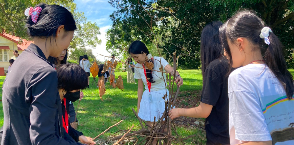 Tertiary | Wollongong Botanic Garden