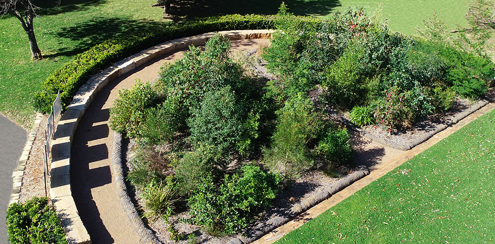 Tiny Forest | Wollongong Botanic Garden