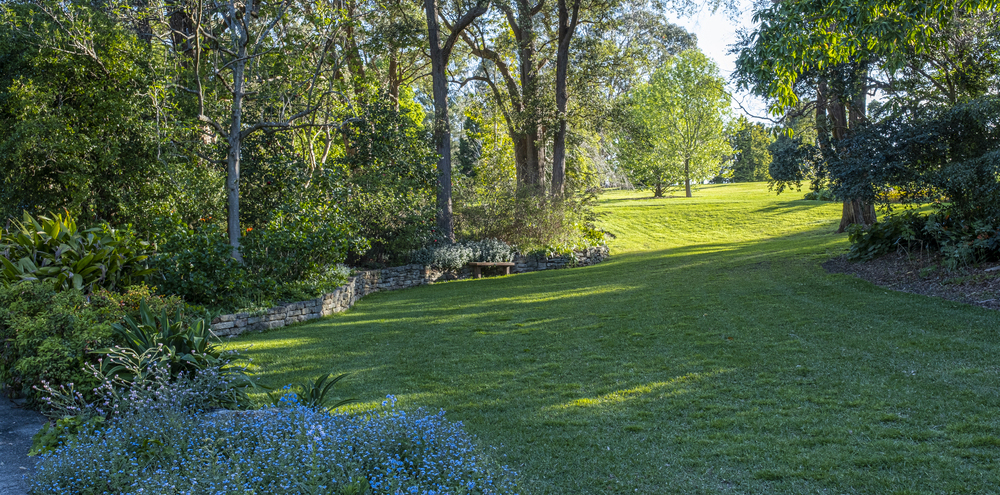 Woodland Garden | Wollongong Botanic Garden